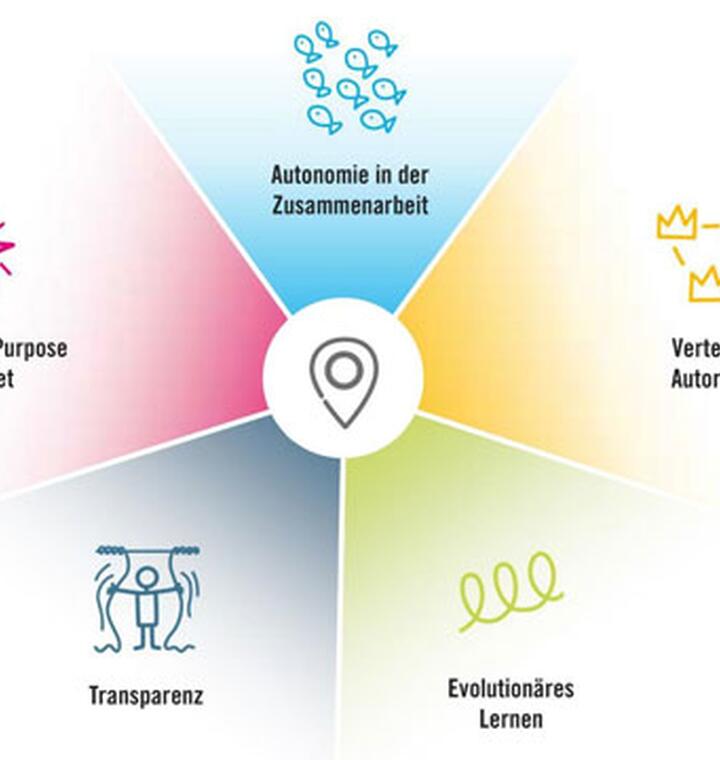 5 Principles - Autonomy in Collaboration (EN) | dwarfs and Giants