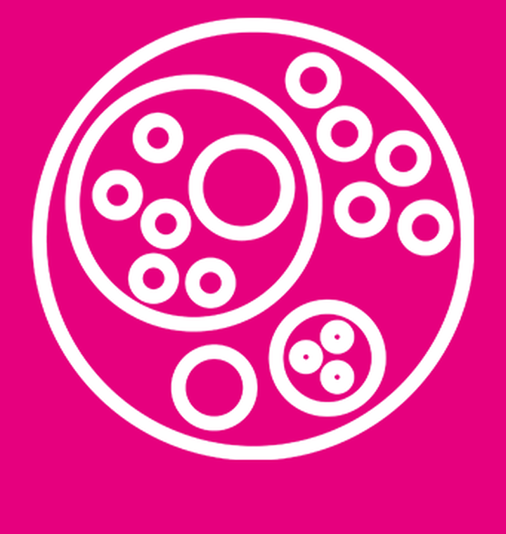 5 Principles - Distributed Authority (EN) | dwarfs and Giants